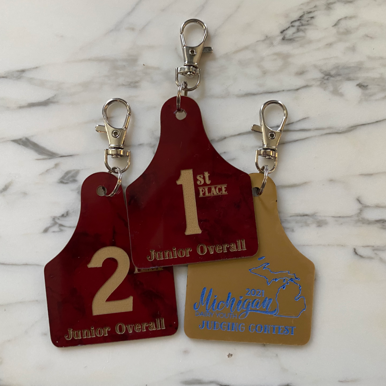 Ear Tag Keychains - Grand Champion Designs