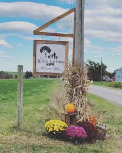 Custom Farm Signs - Grand Champion Designs